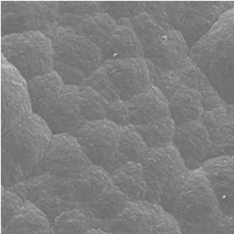 What Are The Key Applications of Coated Graphite Parts in The ...